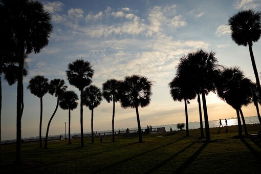 Two-day Festival Held in Tamil Nadu to Create Awareness Palm Trees - News18