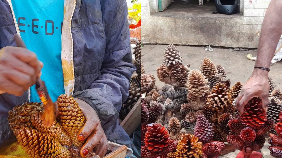 Unique Pine Tree Craft Sustains Generations in Tamil Nadu's Nilgiris ...