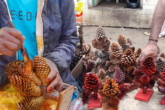 Unique Pine Tree Craft Sustains Generations in Tamil Nadu's Nilgiris ...
