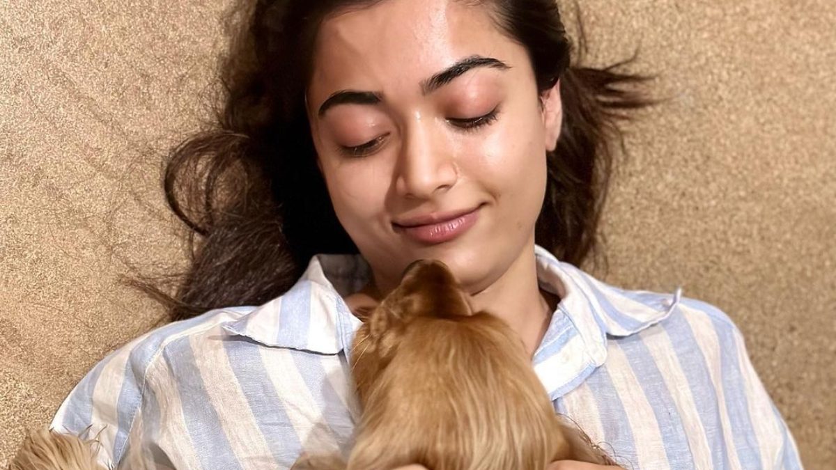 Rashmika Mandanna Brightens Up Our Sunday With Her Paw-Perfect Picture ...