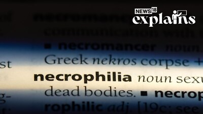 Dignity in Death: What's Necrophilia & Why Has K'taka HC Asked Govt to ...