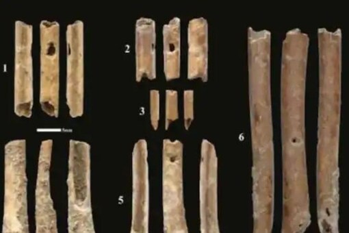 12,000-year-old Flutes, Made Of Bones, Found In Israel - News18