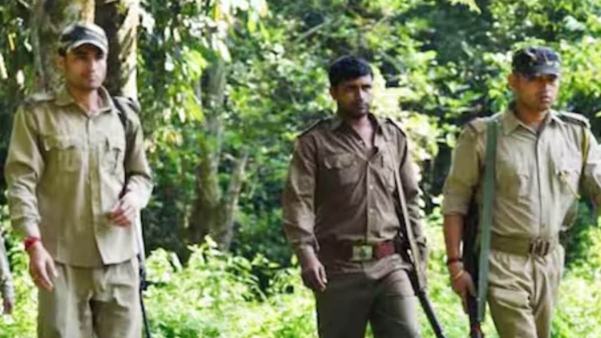 Maharashtra Forest Guard Recruitment 2023: Eligibility, Application ...