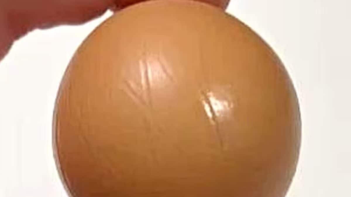 This One-In-A-Billion Perfectly Round Egg Costs Rs 78,000 | Viral News ...