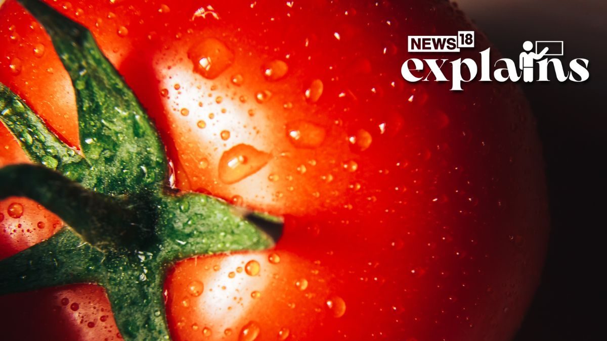 Tomato Price Hike: Why Do Vegetable Prices Rise Amid Monsoons ...