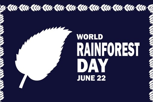 World Rainforest Day 2023: Conserve, Restore, Regenerate for a Thriving ...