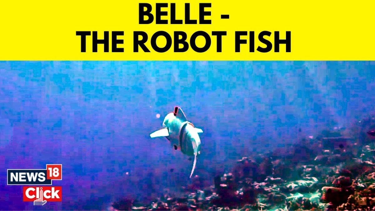 Autonomous Robot Fish Belle Is Saving Oceans, Protecting Seas ...
