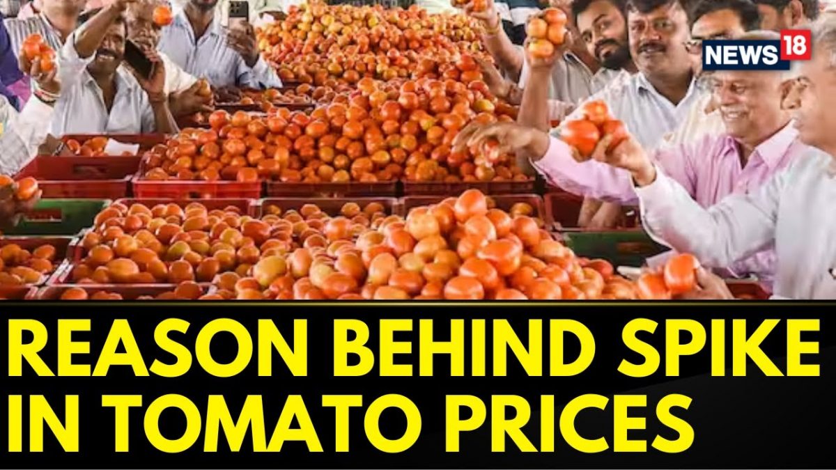 Tomato Price Hike | CNNNews18 Decodes The Real Reasons Behind The Spike ...