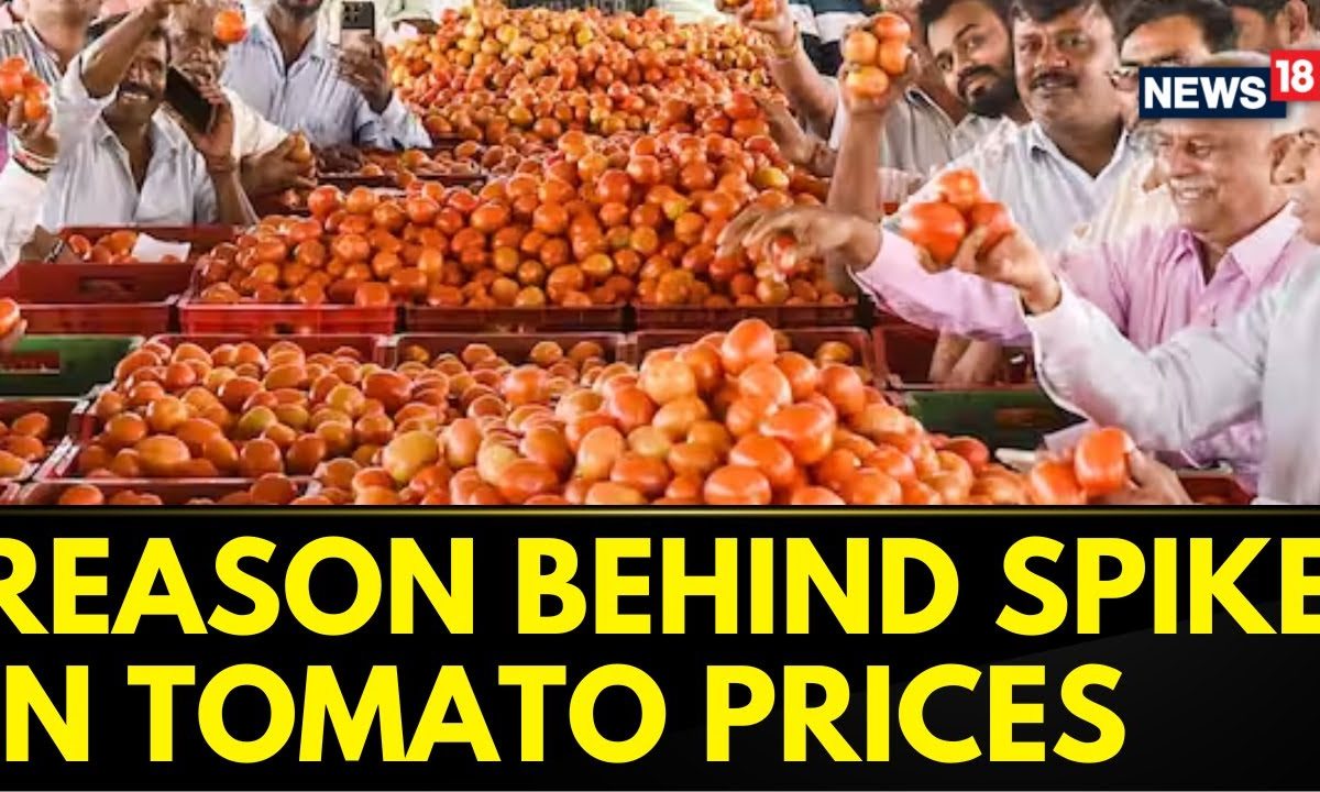 Tomato Price Hike | CNNNews18 Decodes The Real Reasons Behind The Spike In Tomato Prices ...