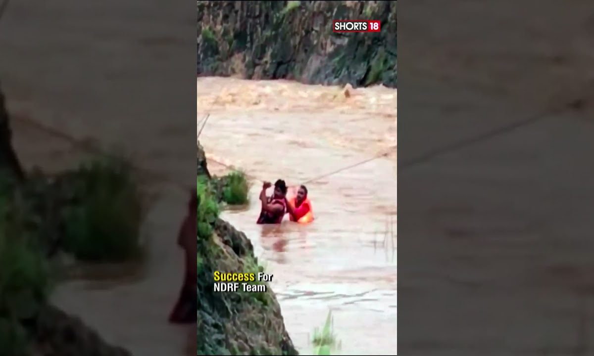 Shorts | NDRF Team Rescued Six People In Mandi District, Himachal Pradesh | English News ...