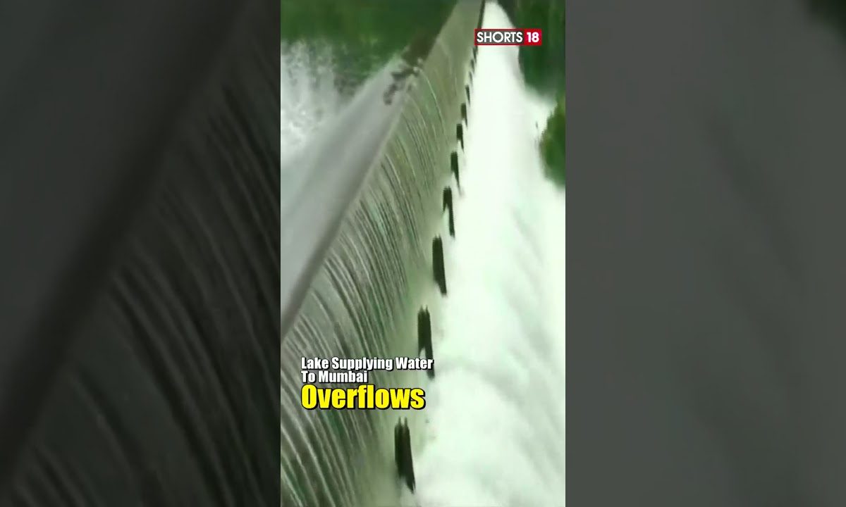 Flood Alert In Mumbai Amid Heavy Rains | Mumbai Lake Overflows| Mumbai Rain News Today | Mumbai ...