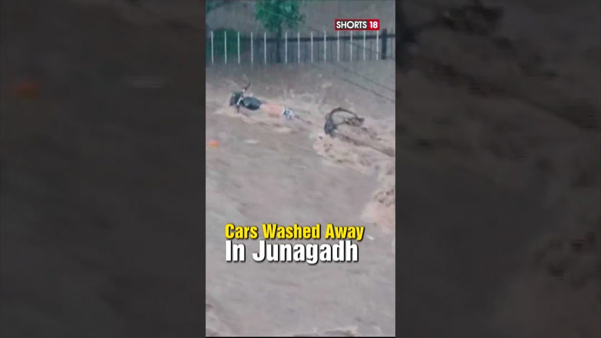 Gujarat Rains | Junagadh Flooded Amid Heavy Rainfall | Cars Washed Away ...