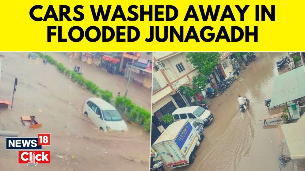Gujarat Flood News | Cars Washed Away In Massive Flood Triggered By ...