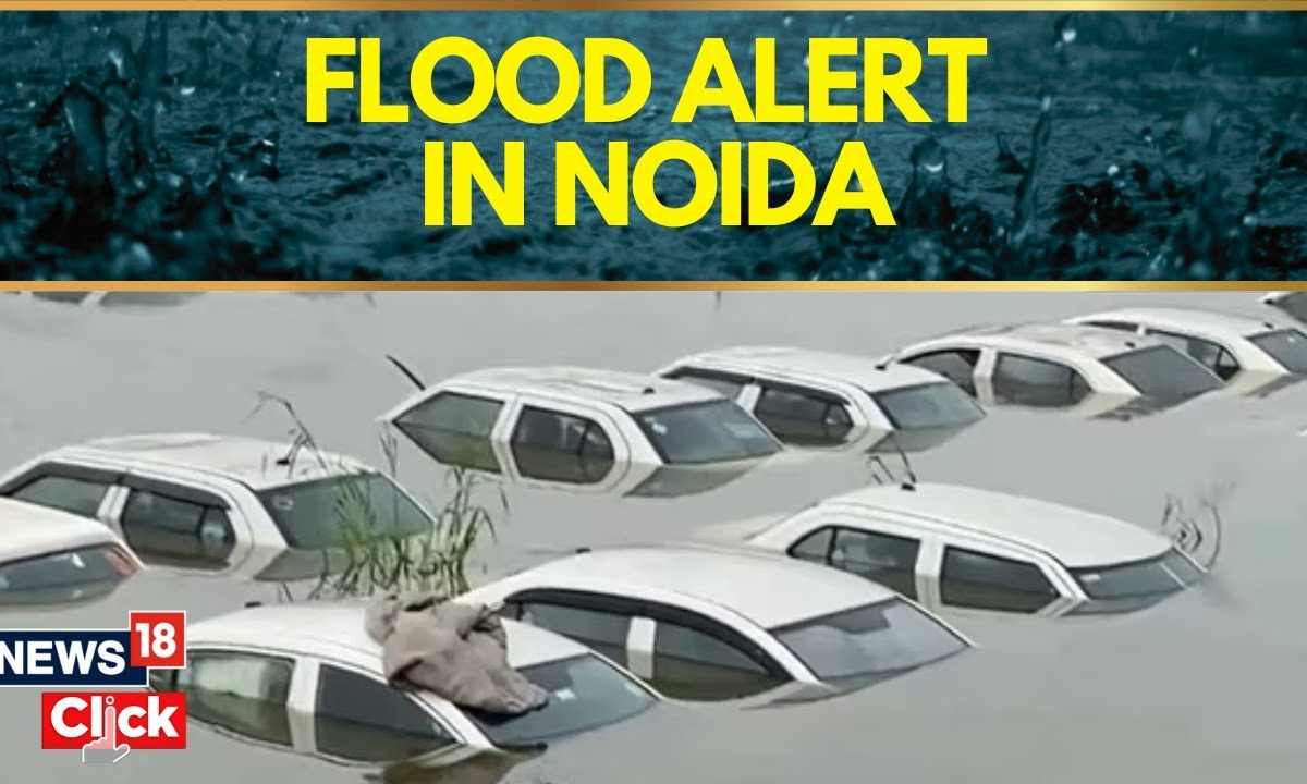 Noida Flood News | Vehicles Submerge In Water in Sector 137 Noida After ...