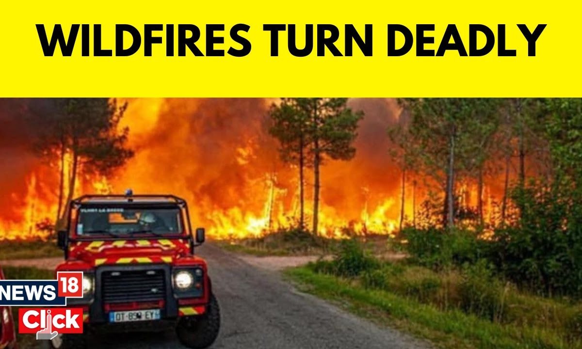 Wildfires 2023 | Wildfires Turn Deadly In Southern Europe | Europe News ...