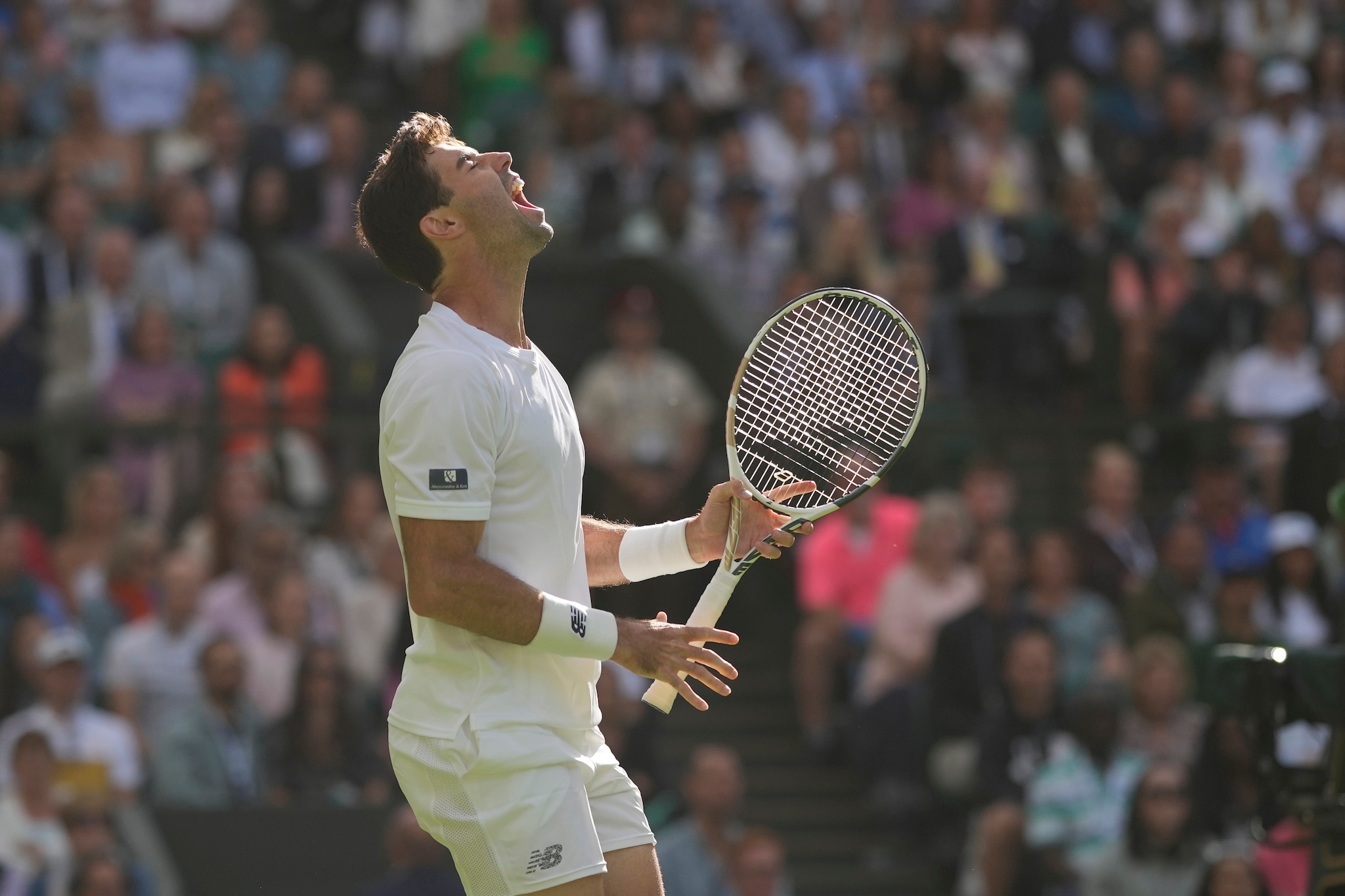 Wimbledon 2023 Day 3 Best Photos: Protester, David Beckham And Novak ...