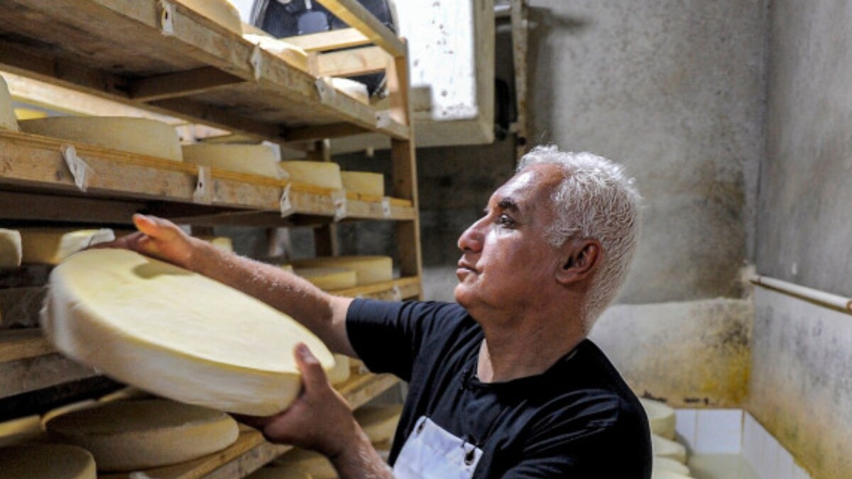 Alps to Atlas: Swiss-inspired Cheese Comes to Algeria Mountains | Viral ...