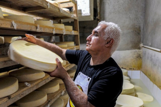 Alps to Atlas: Swiss-inspired Cheese Comes to Algeria Mountains - News18