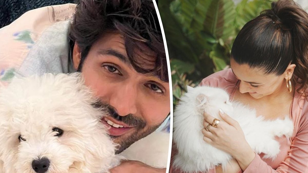 Alia Bhatt, Kartik Aaryan, Kiara Advani, Shraddha Kapoor: Celebs And ...