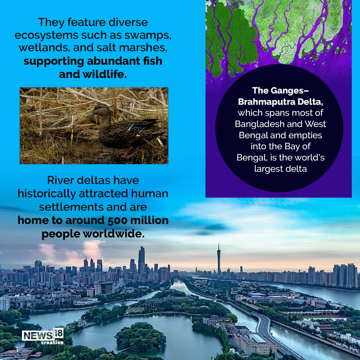 The World’s Deltas Are Disappearing: What Does it Mean for Our Future ...