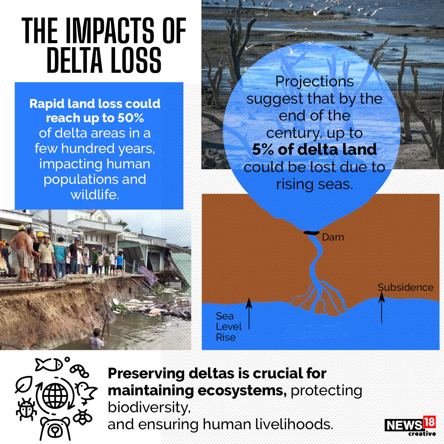 The World’s Deltas Are Disappearing: What Does it Mean for Our Future ...