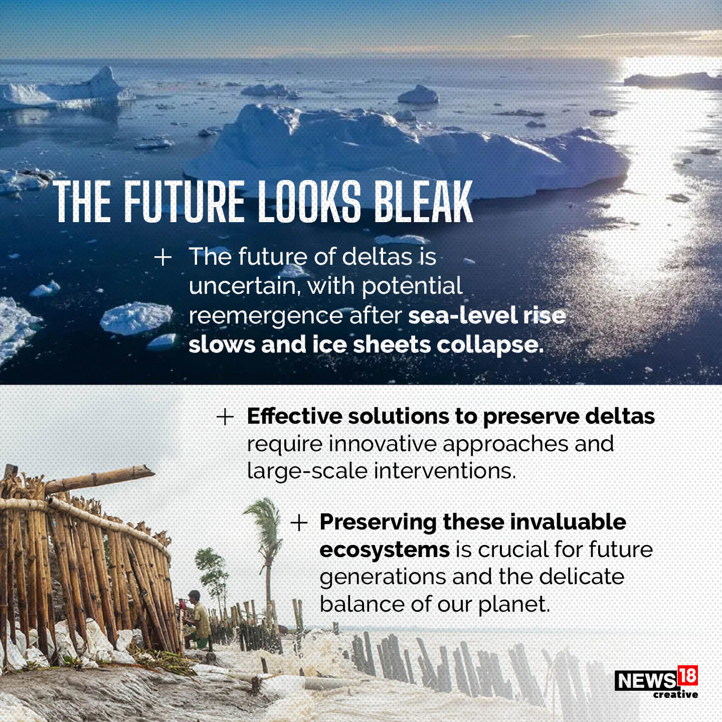 The World’s Deltas Are Disappearing: What Does it Mean for Our Future ...