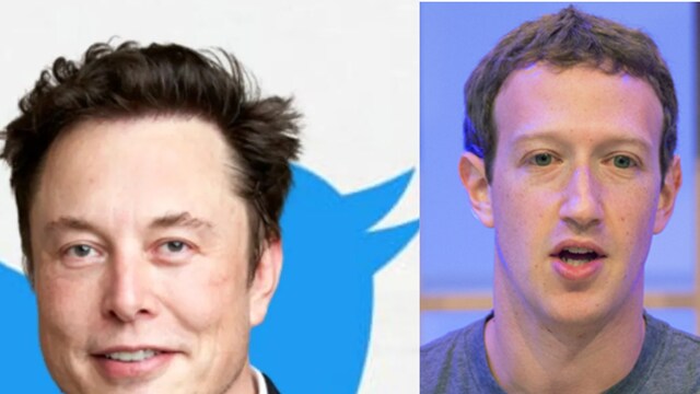 Elon Musk Replies To Parody Account's 'Lizard Boy' Jibe On Mark ...