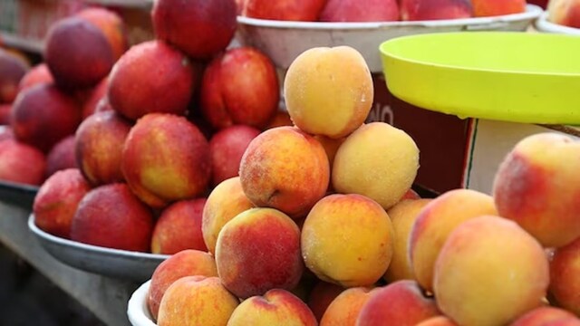 Monsoon Food: 5 Fruits to Eat During the Season for Better Health and ...