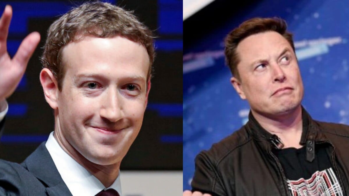 Elon Musk’s Doppelganger Fights Mark Zuckerberg' In Hilarious Face-Off ...