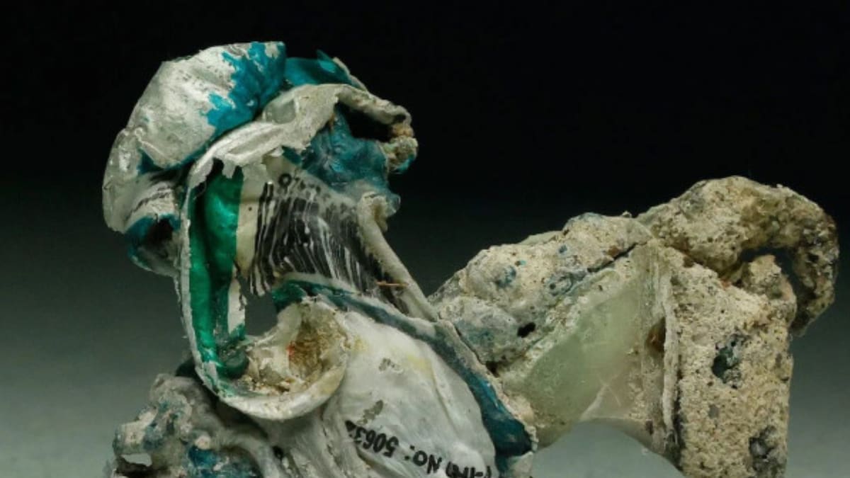 Plastiglomerate 'Rocks' Made Up of Plastic Waste and Coral Rubble ...