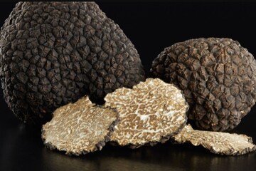 A Natural Sweetener Made From Truffles Promises a New Sugar Alternative ...