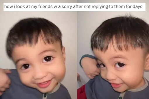 Seen This Kid? His 'Innocently Mischievous' Video Has Now Become Everyone's Relatable Meme - News18