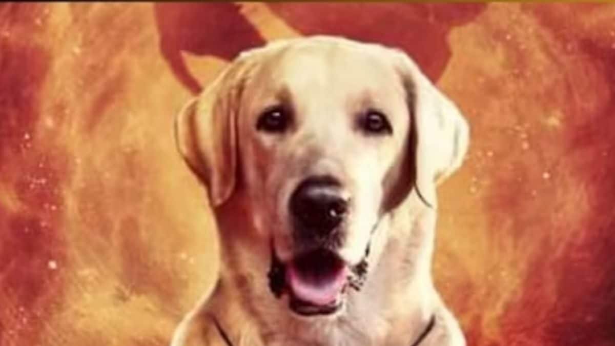 Naanu Matthu Gunda 2 Was Conceived During Climax Of 1st Part: Raghu ...