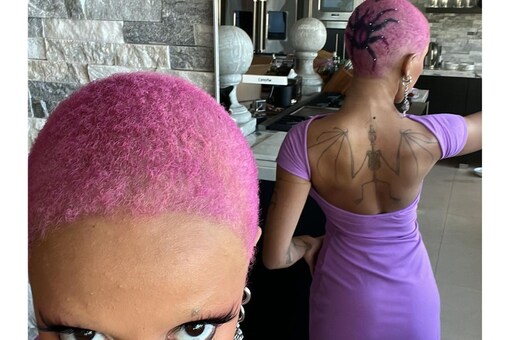 Doja Cat Lashes Out At Fans For Calling Themselves 'Kittenz' - News18