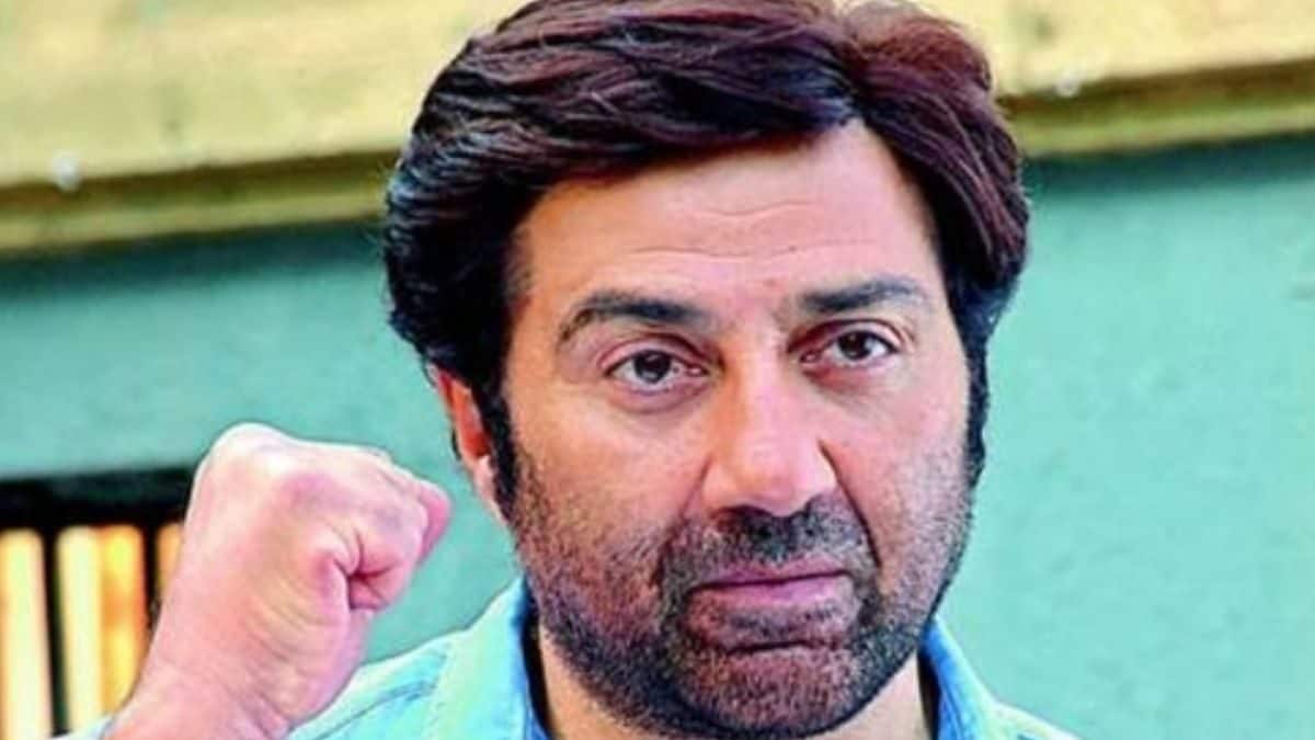 When Sunny Deol Became The Blockbuster King Of The '90s | Movies News ...