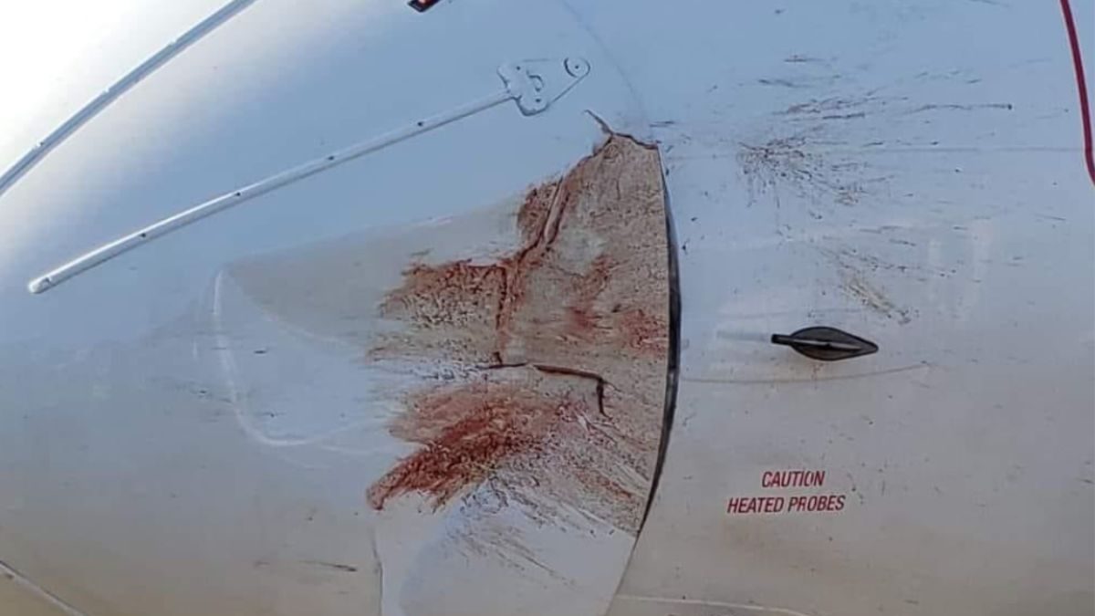 What Happens When a Bird Hits An Aeroplane At High Speed? Scary Pic ...