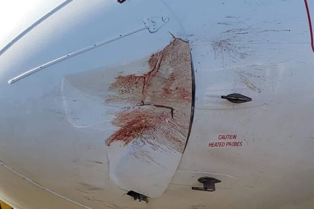What Happens When a Bird Hits An Aeroplane At High Speed? Scary Pic ...