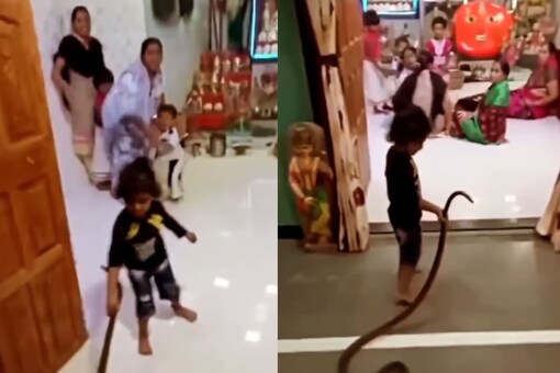 Watch: Parents Recording Video Of Child Playing With Snake Angers ...