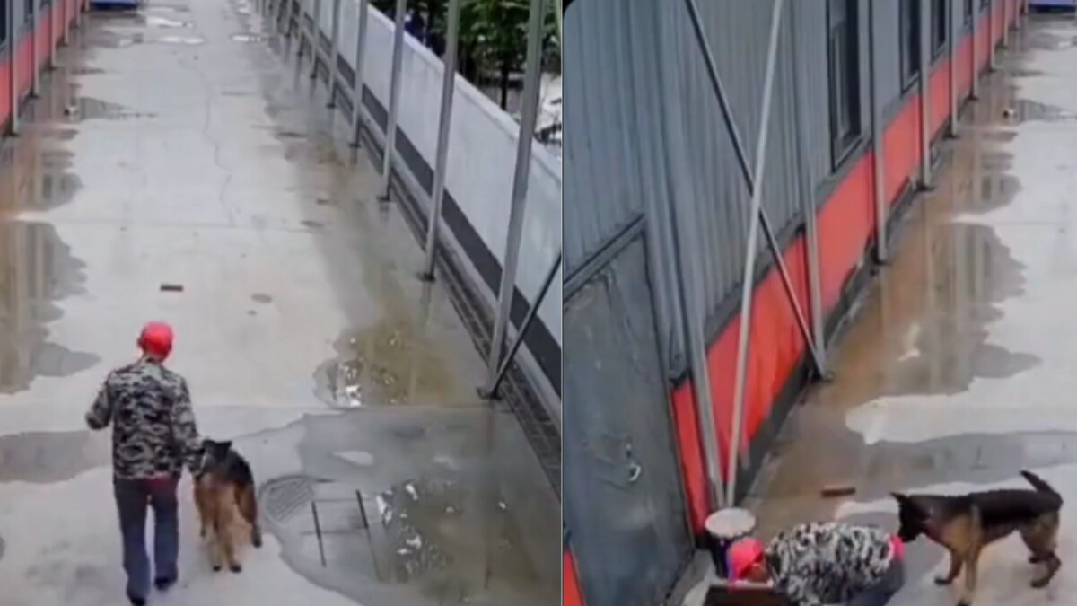 This Viral Video Of Dog Asking For Help Will Melt Your Heart | Viral ...