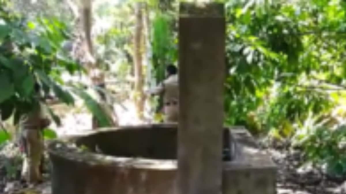 Chhattisgarh: 3 Children Fall into Well While Plucking Fruits from Tree ...