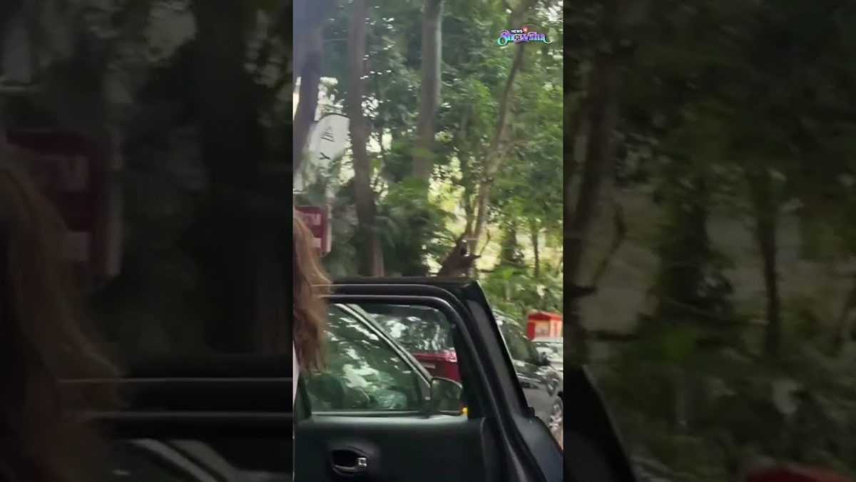 Rhea Chakraborty Explains How To Join Roadies | WATCH - News18