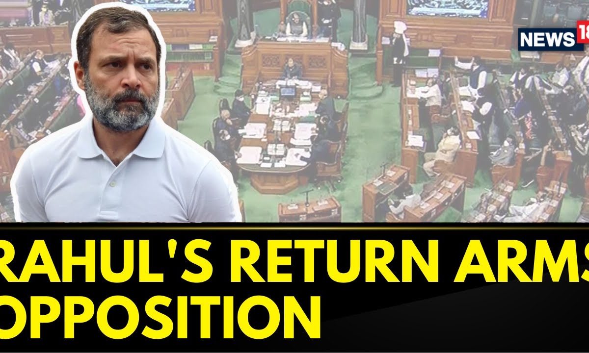 Parliament Monsoon Session | Rahul Gandhi Reinstated As Wayanad MP ...