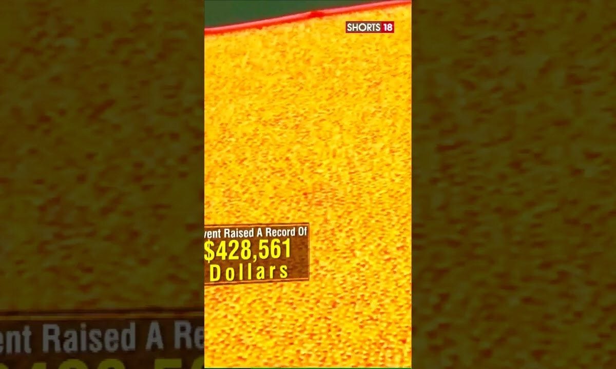 Rubber Ducks | More Than 70,000 Rubber Ducks Raced Down The Chicago ...