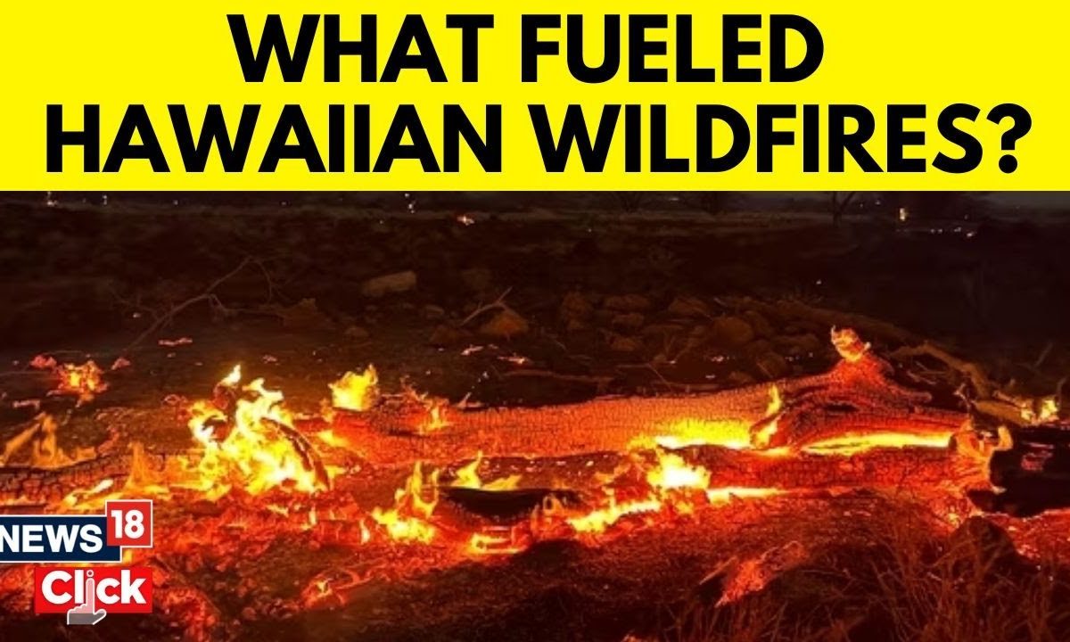 Hawaii Wildfire News | Deadly Wildfire Ravages Hawaii | What Caused The ...