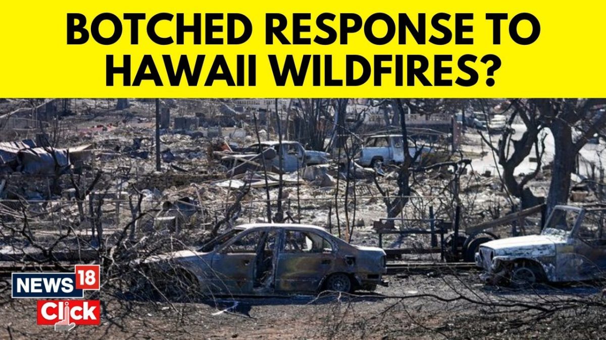 Hawaii Wildfire Aftermath | Hawaii Fire | Maui Hawaii | Maui Wildfire ...