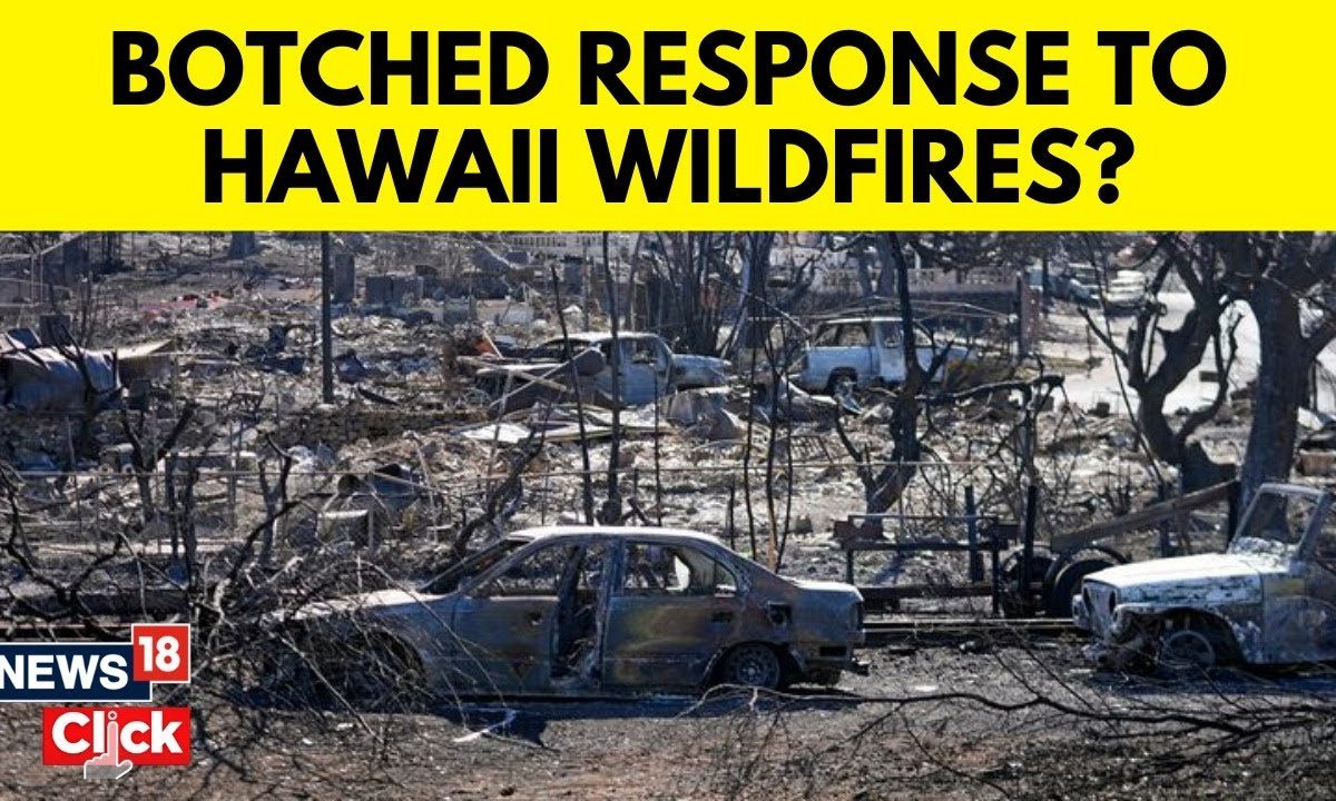 Hawaii Wildfire Aftermath | Hawaii Fire | Maui Hawaii | Maui Wildfire ...