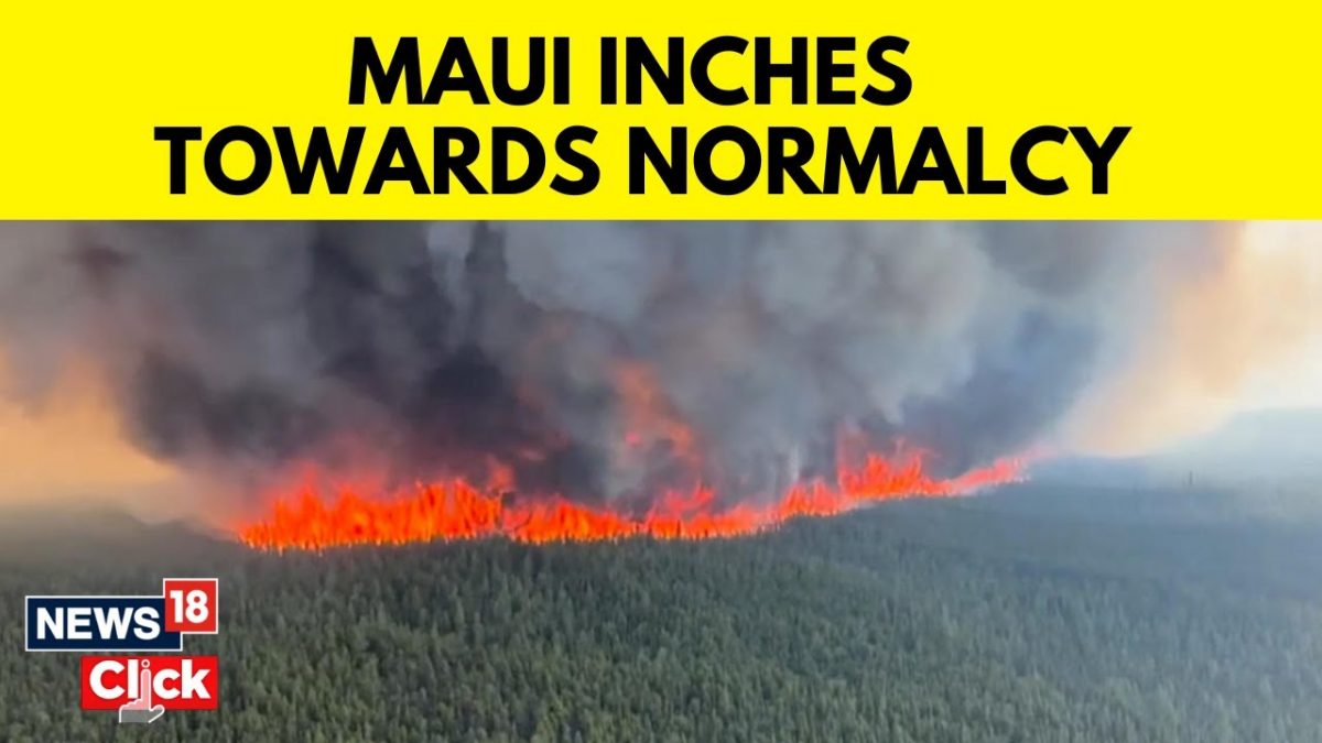 Maui Wildfires News Updates | Maui Fires | Maui Wildfires 2023 | Hawaii ...