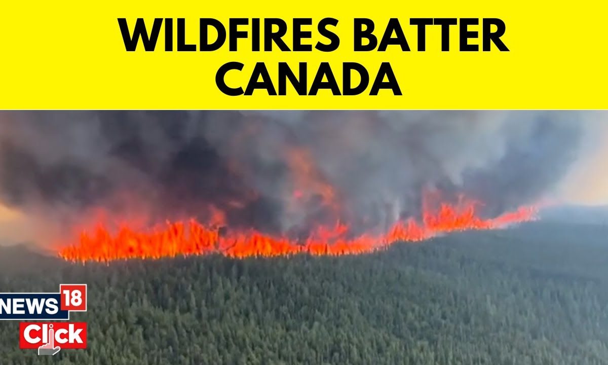 Canada Wildfires News | Multiple Canadian Towns Face Wildfire Emergency ...