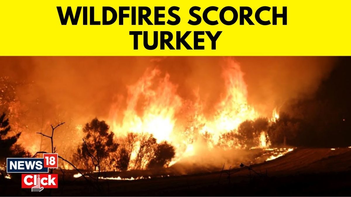Turkey News | Türkey Continues Battling Raging Forest Fires In ...