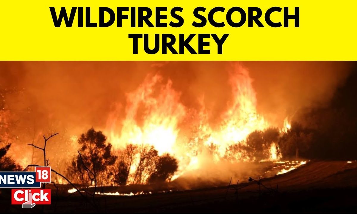 Turkey News | Türkey Continues Battling Raging Forest Fires In ...
